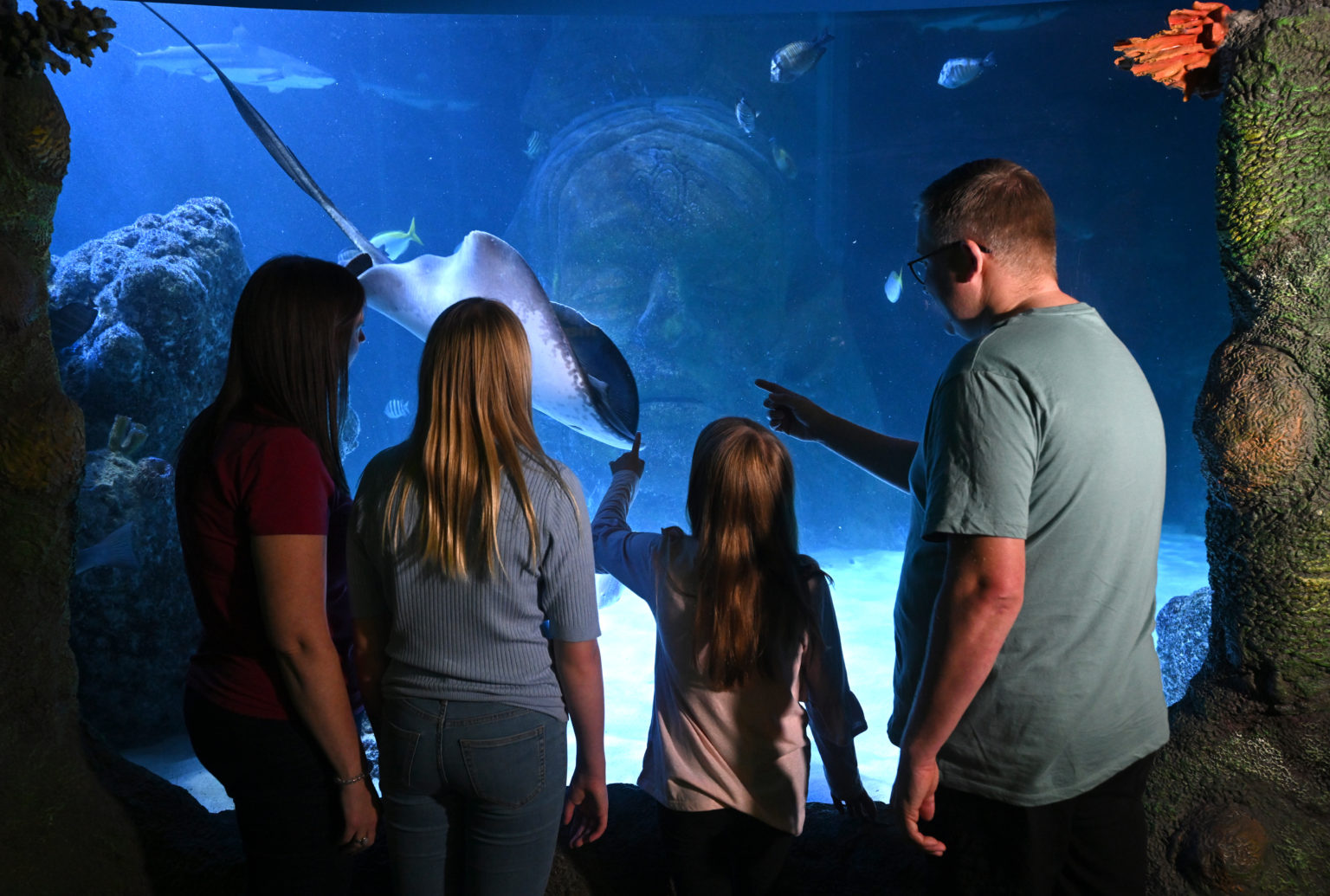 Homepage - The Visit Manchester Pass